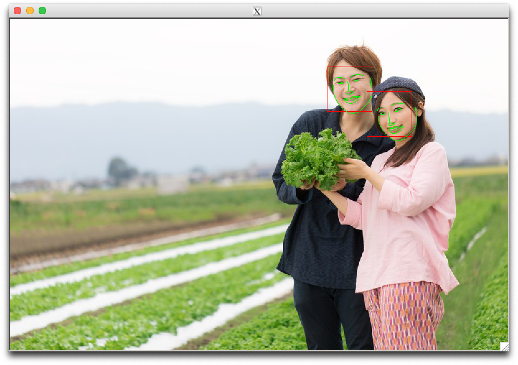 【Mac】OpenCV, Dlibカスケード分類による顔認識いろいろ（C++, Python）｜竹のしんのテック日記 | 竹のしんのテック日記